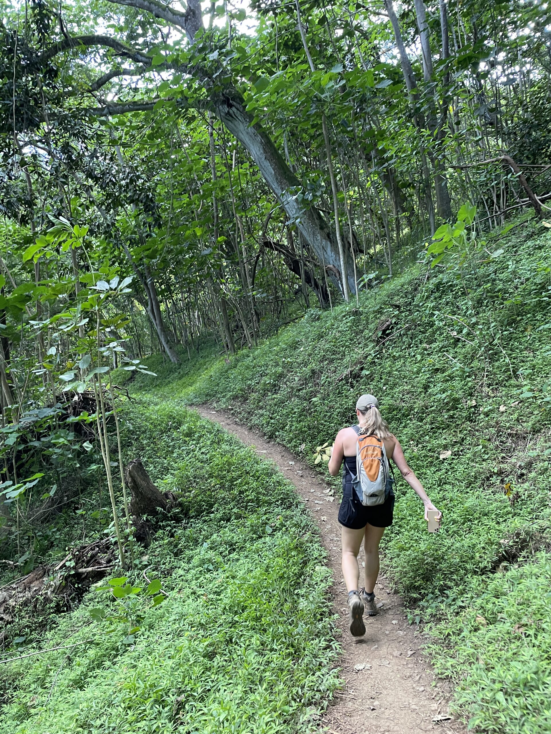 O’hana Trail – SarahRuthSeeks