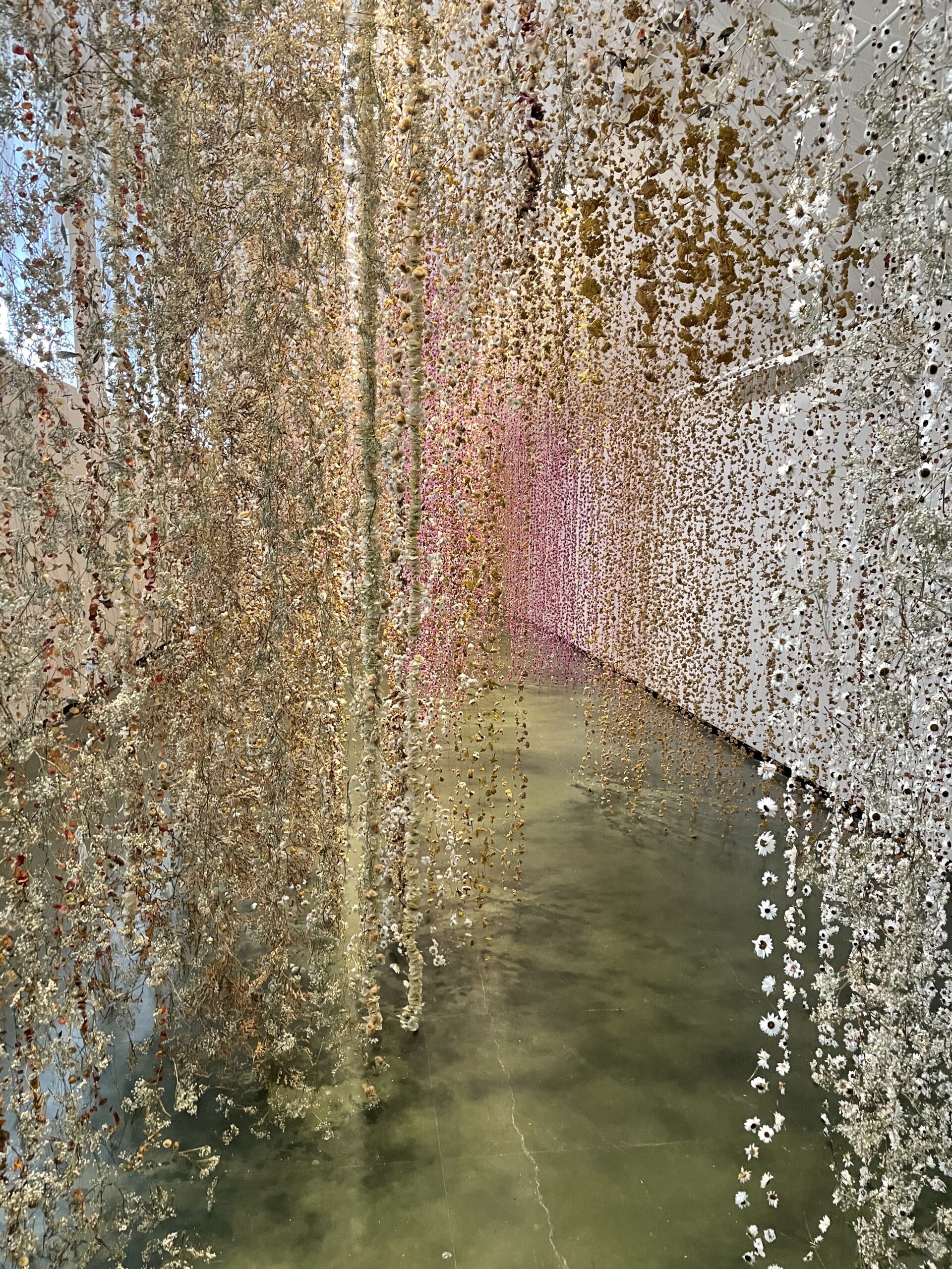 Awakening Exhibit at Honolulu Museum of Art – SarahRuthSeeks